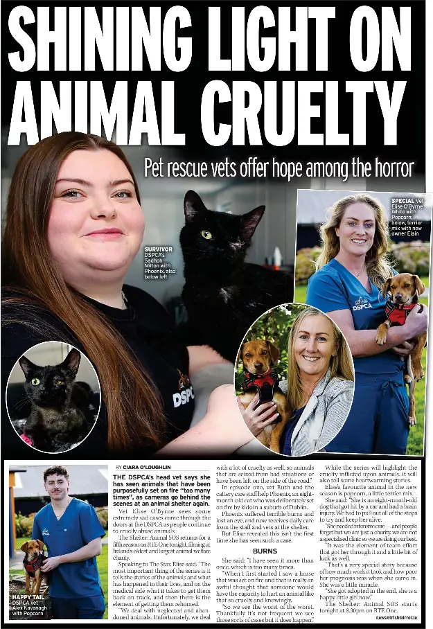 SHINING LIGHT ON ANIMAL CRUELTY - PressReader