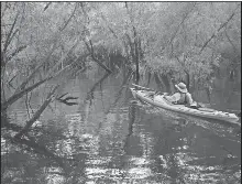 Georgia River Network’s latest guidebook authored NWGA resident Joe ...
