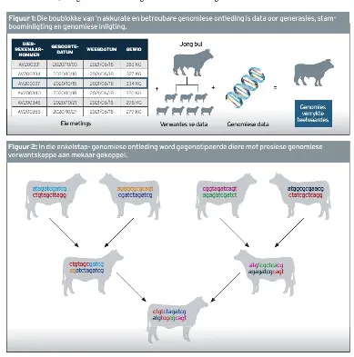 Waarde van data vir genomiese ontleding - PressReader
