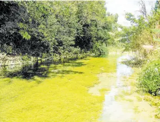 Fourth staging of Image music festival set for Portland - PressReader