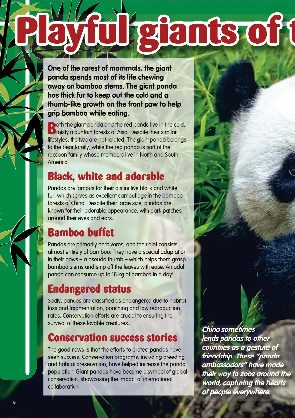 Playful giants of the forest - PressReader