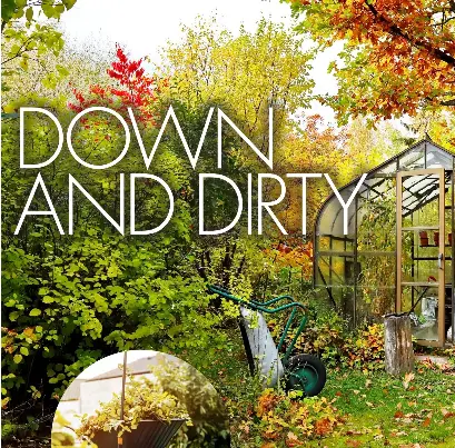 Down And dirty - PressReader