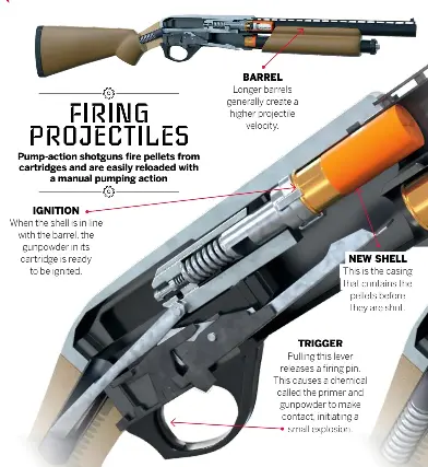 FIRING PROJECTILE­S - PressReader