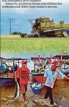 Tumpu sektor pertanian, perikanan ketika nilai ringgit lemah - PressReader