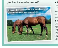 RESCUE UPDATE - PressReader