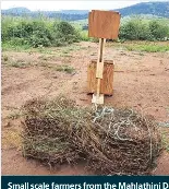 Make you own baler! - PressReader