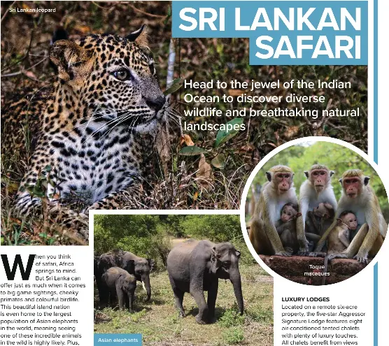 SRI LANKAN SAFARI - PressReader