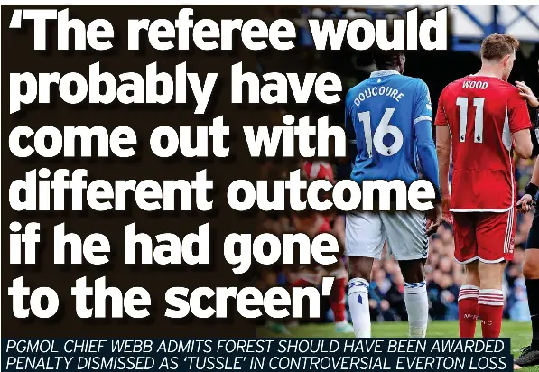 ‘The referee would probably have come out with different outcome if he had gone to the screen ...