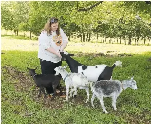 Educating others about raising goats - PressReader