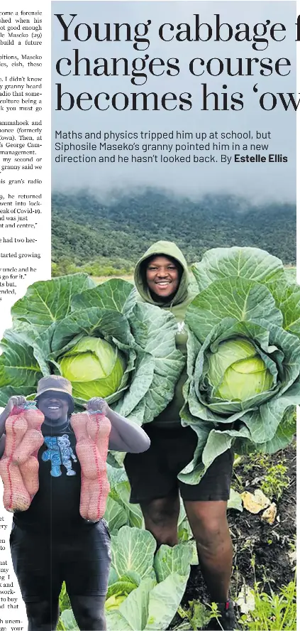 Young cabbage farmer changes course and becomes his ‘own hero’ - PressReader