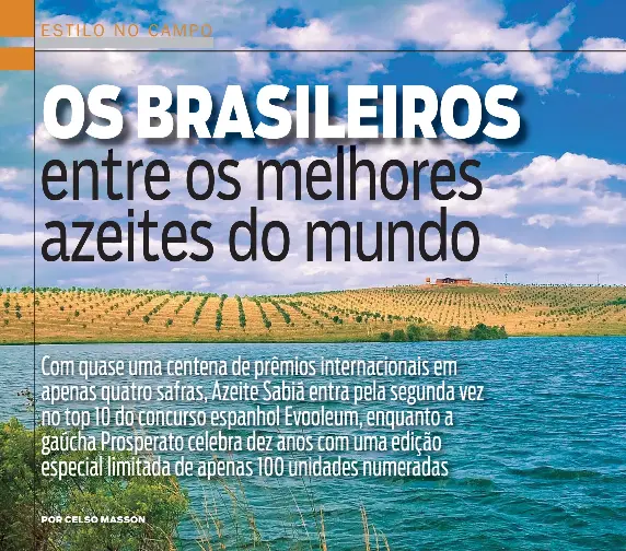 OS BRASILEIRO­S entre os melhores azeites do mundo - PressReader