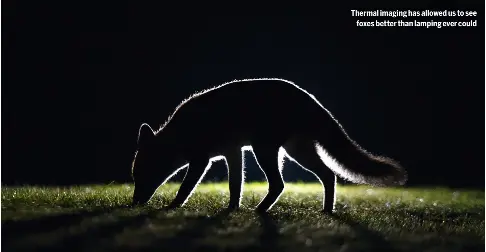 Stalking Diary - PressReader