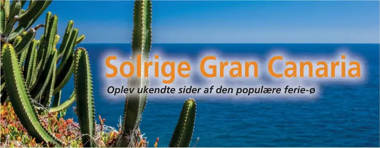 Solrige Gran Canaria - PressReader