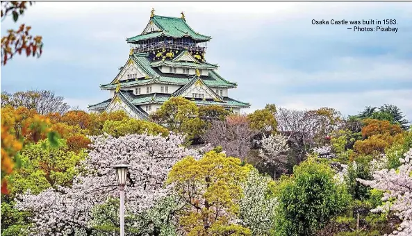 More than just cherry blossoms - PressReader