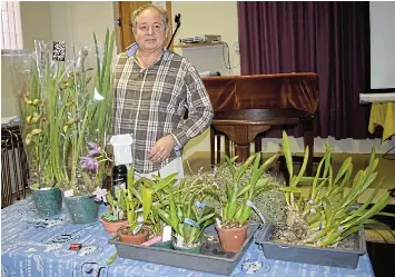 Orchid lesson for flower lovers - PressReader