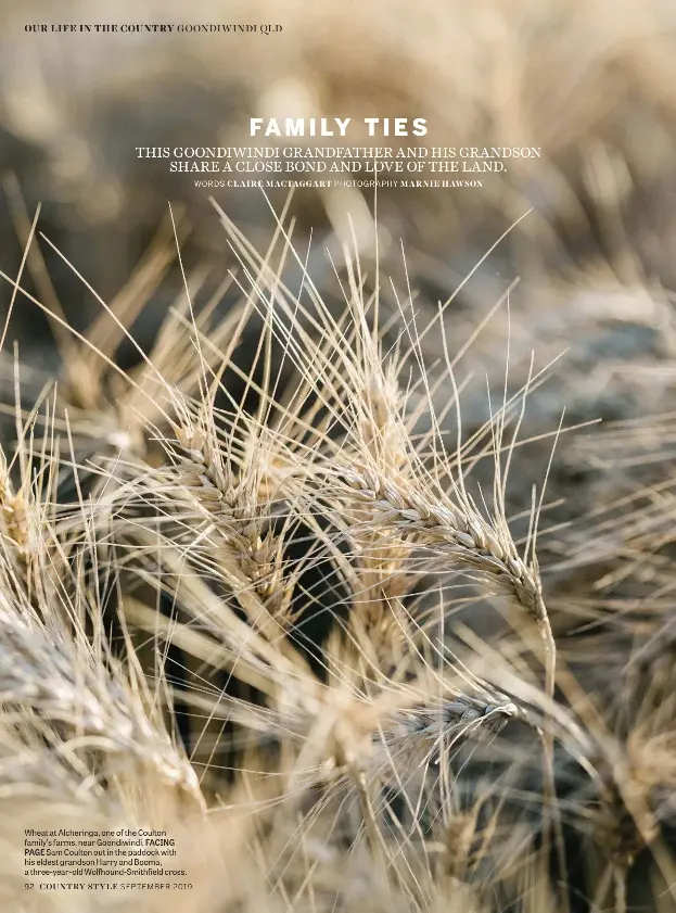 Family Ties: A grandfathe­r’s love - PressReader