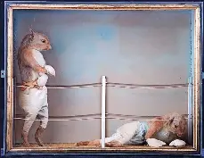 BOXING CLEVER - PressReader