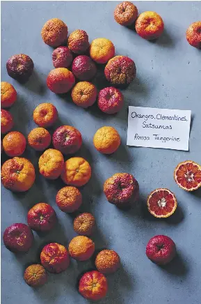 UK chefs discover farm growing 500 varieties of citrus fruit - PressReader