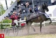 Perdekampi­oene - PressReader