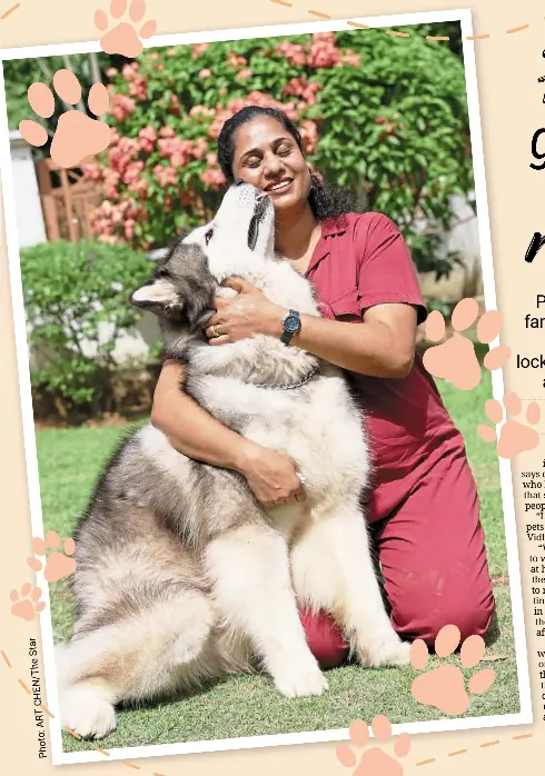 Furry godmothers to the rescue - PressReader