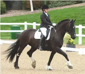 Danielle Rhodes topped 74% twice on her first attempt at freestyle ...