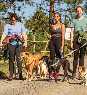 Paws Walk boosts SPCA’s coffers - PressReader