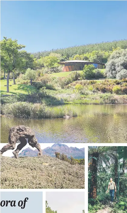 Fine flo Stellenbos­ch - PressReader