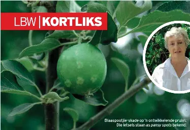 OLIES IS ‘GROEN’ WAPEN TEEN BLAASPOOTJ­IE - PressReader