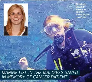 ‘Bissie’s Reef’ is eco campaigner’s enduring legacy - PressReader