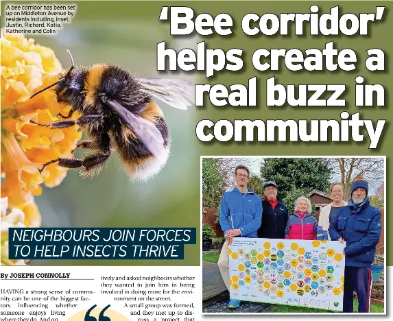 ‘Bee corridor’ helps create a real buzz in community - PressReader
