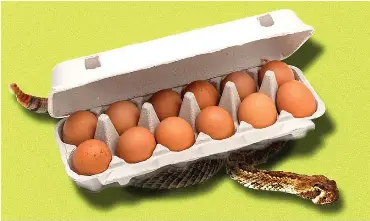 Cheaper by the dozen? - PressReader