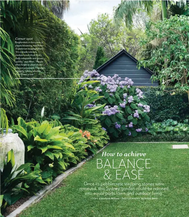 Fab Foliage - PressReader