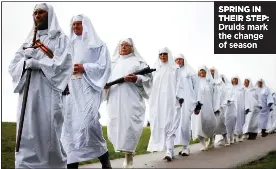 Rite to roam! Druids lead battle against bid to charge entry fee to visit Callanish Stones ...