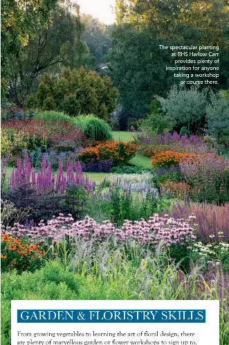 GARDEN & FLORISTRY SKILLS - PressReader