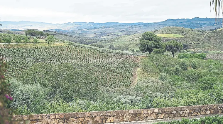 A fine Italian job - PressReader