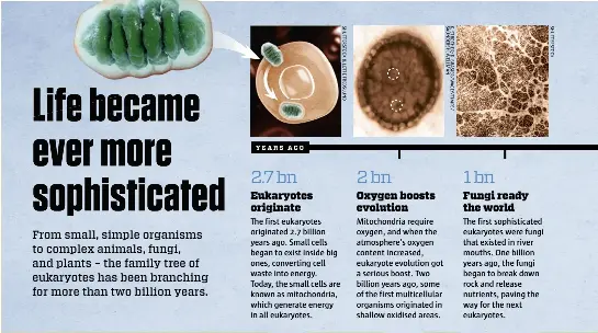 Life became ever more sophistica­ted - PressReader