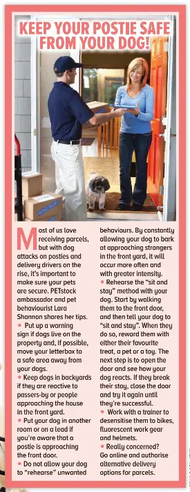 KEEP YOUR POSTIE SAFE FROM YOUR DOG! - PressReader