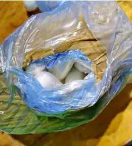 Mailas feine Nase erschnüffe­lt Drogen in großen Mengen - PressReader