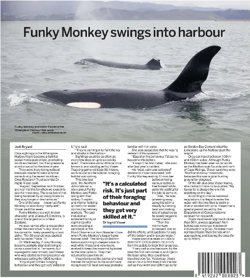 Funky Monkey swings into harbour - PressReader