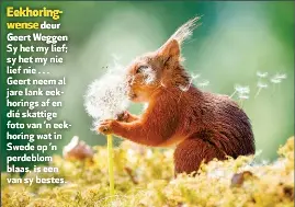 Topfoto’s van diere se snaaksighe­de - PressReader