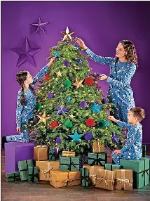 Spruce up your garden - PressReader