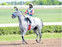 Run Julie Run set to make amends - PressReader