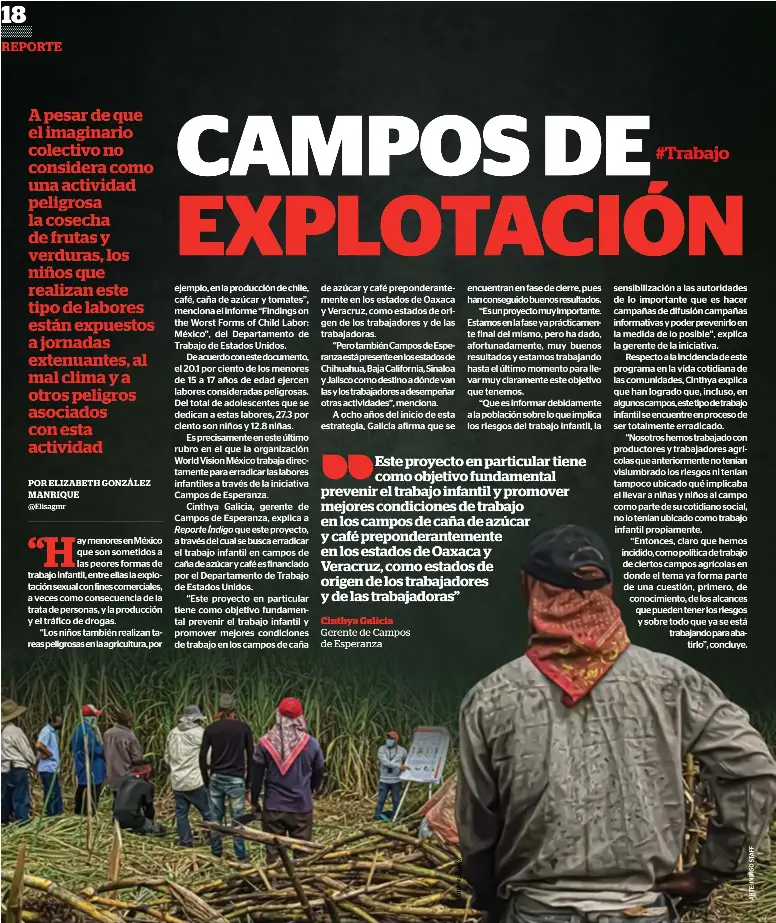 CAMPOS DE EXPLOTACIÓ­N - PressReader