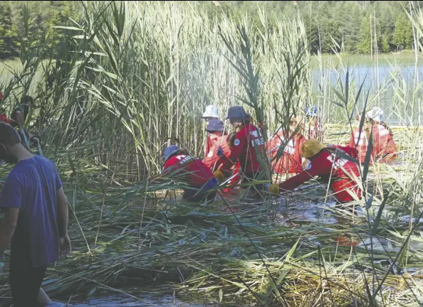 ALMAGUIN ENVIRONMEN­TAL GROUP HOPES TO USE MOTHS TO FIGHT INVASIVE KILLER WEED - PressReader