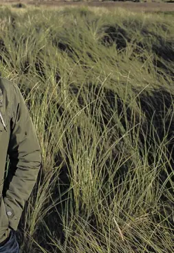 Improve on planning rules - PressReader