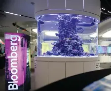 Bloomberg host’s journey as news anchor bridging cultures - PressReader
