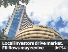 Local investors drive market, FII flows may revive - PressReader