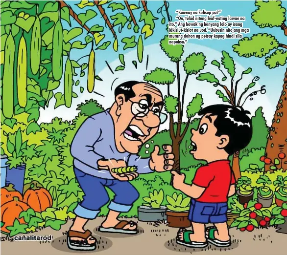 Ang Mga Kulisap Sa Gulayan Ng Kanyang Lolo - PressReader