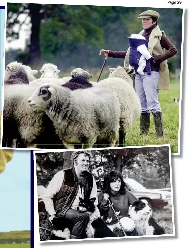 I’m fed up with men. Why can’t they be more like sheepdogs? - PressReader