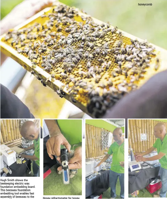 Apiary farming buzzes with tech - PressReader